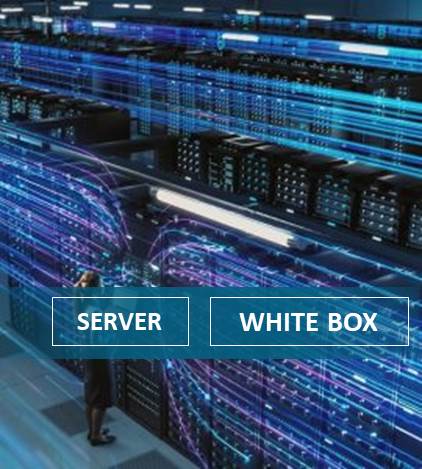 The Era of AI and High-Speed Computing: Potential Risks of White Box ...